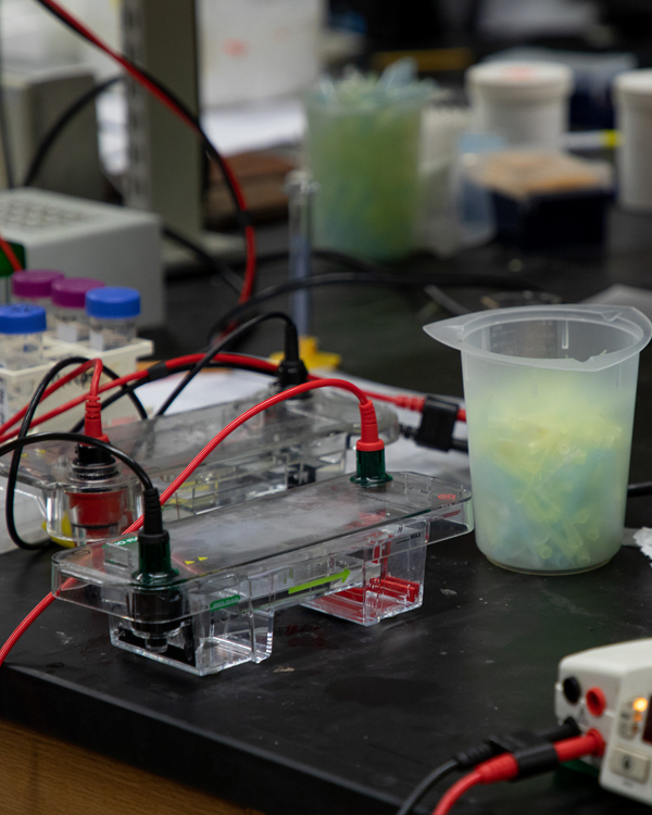 Applied Engineering Minor - Kutztown University